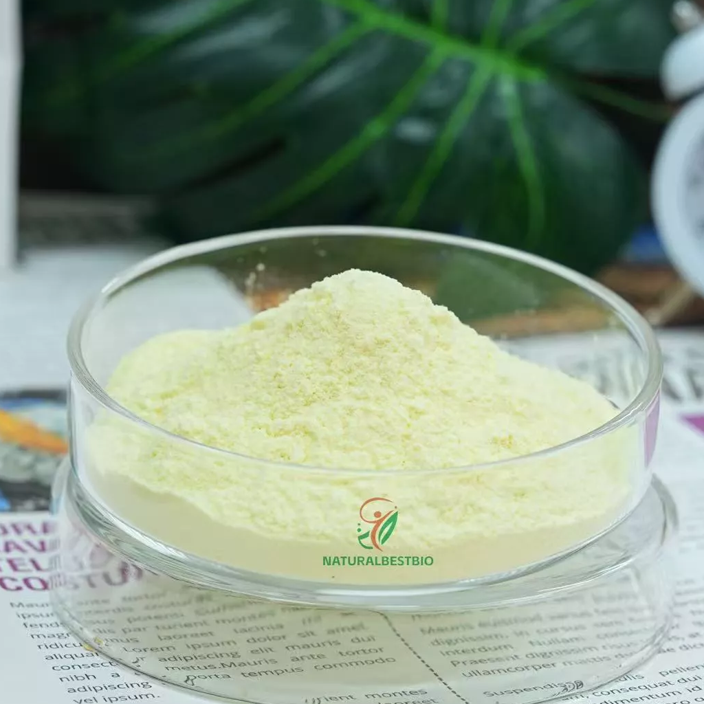 Article Outline: Bulk Dietary Supplements Supplier – Powering Global ...