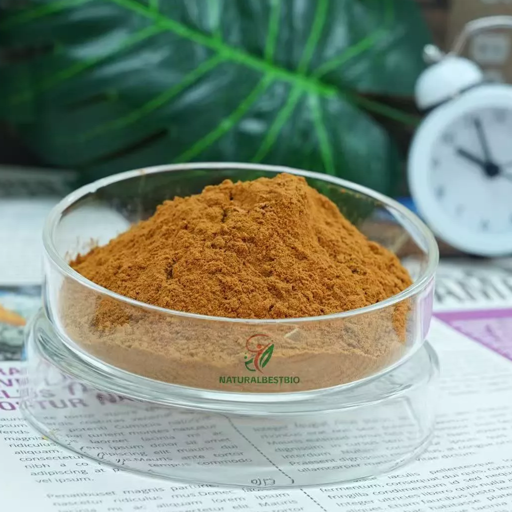 The Top 6 Benefits of Sourcing Quercetin From China: Quality, Cost, And ...